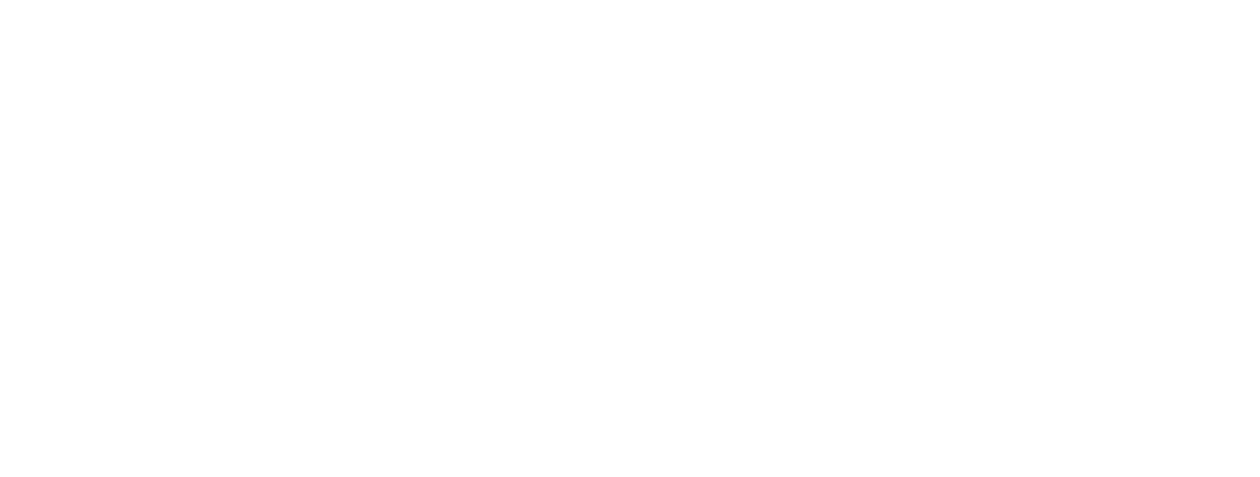 True Alliance Business Solutions | Retail, Wholesale & Ecommerce
